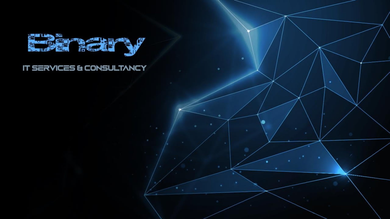 Binary Solutions | IT Services & Consultancy Company